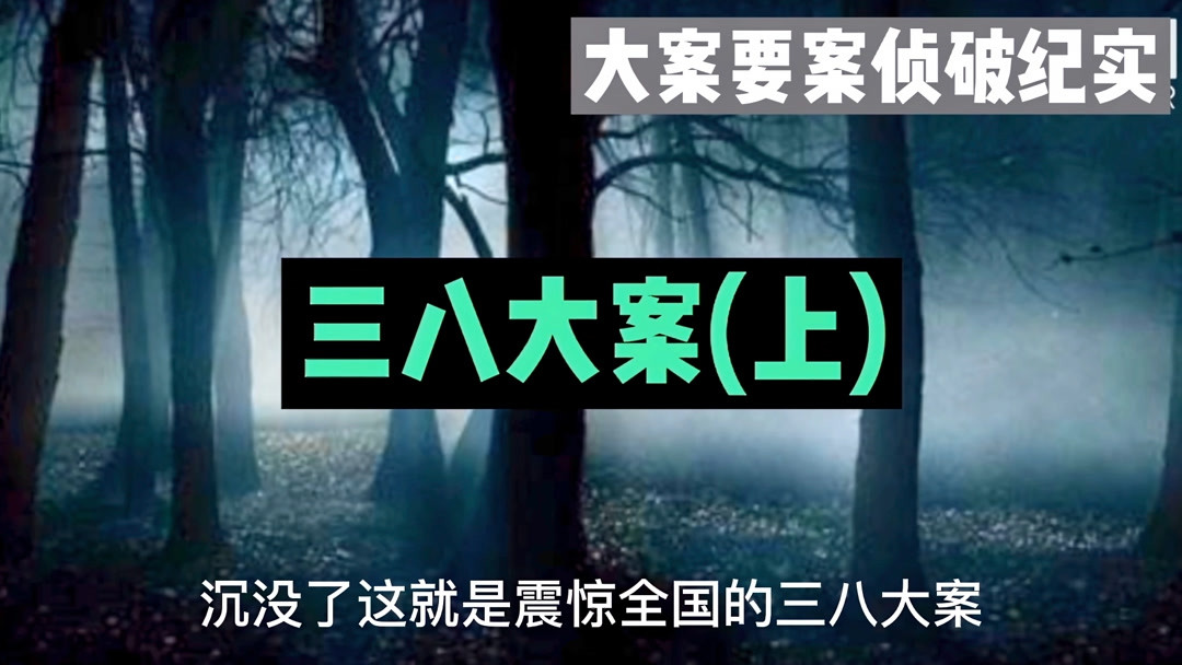 大案要案侦破纪实:三八大案(上)