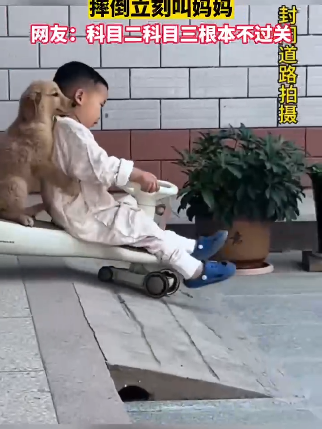 科目二科目三根本不过关