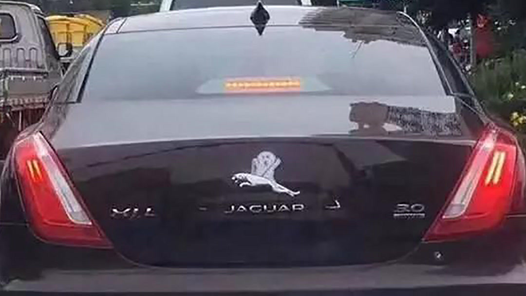 中国车主太会玩车标了,华晨宝马变宝宝,最被玩坏的是标致!