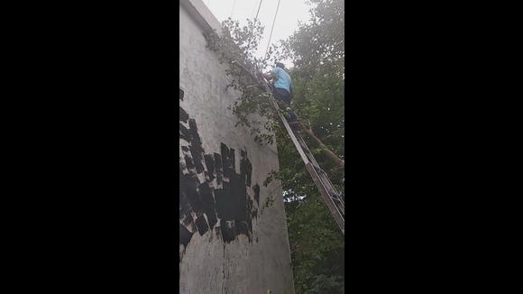 大树枝倒在两根光纤上,很容易把光纤压断,排除险情,把树锯了。