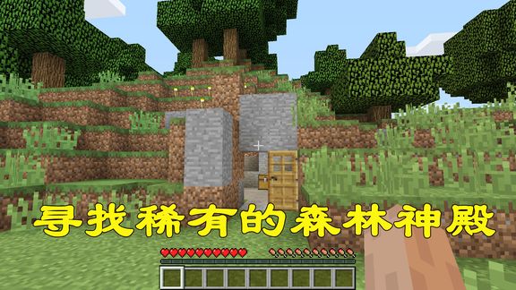 我的世界:稀有的森林神殿里真的有宝石吗?