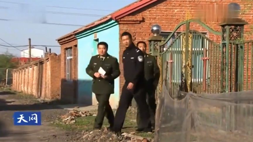 废弃楼房发现尸骨,惊动军警一起调查,真相是什么