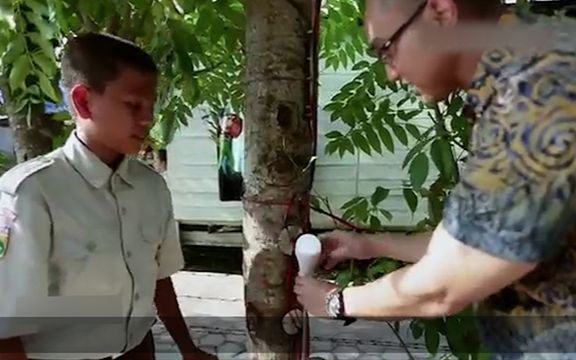 印度的这种树竟然能自己发电,发电量能点亮一个灯泡,平常连鸟都不敢...