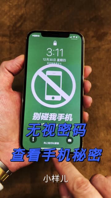 不用密码查看手机