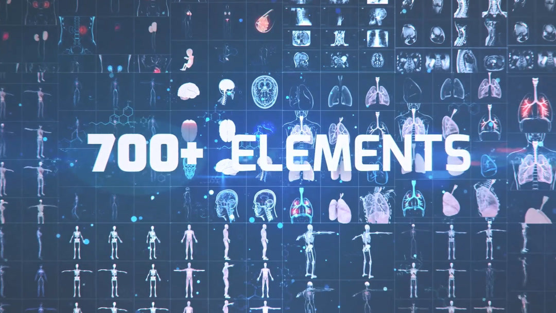 ...解剖图身体心脏各个器官动态素材头骨骨骼细菌化学医学病毒等合集包