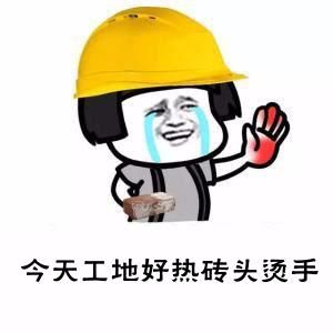 263061273 