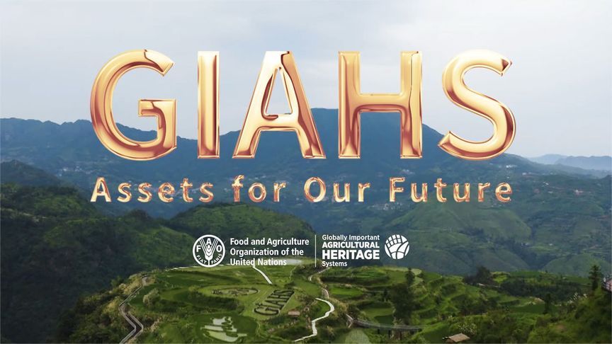 全球重要农业文化遗产大会宣传片发布