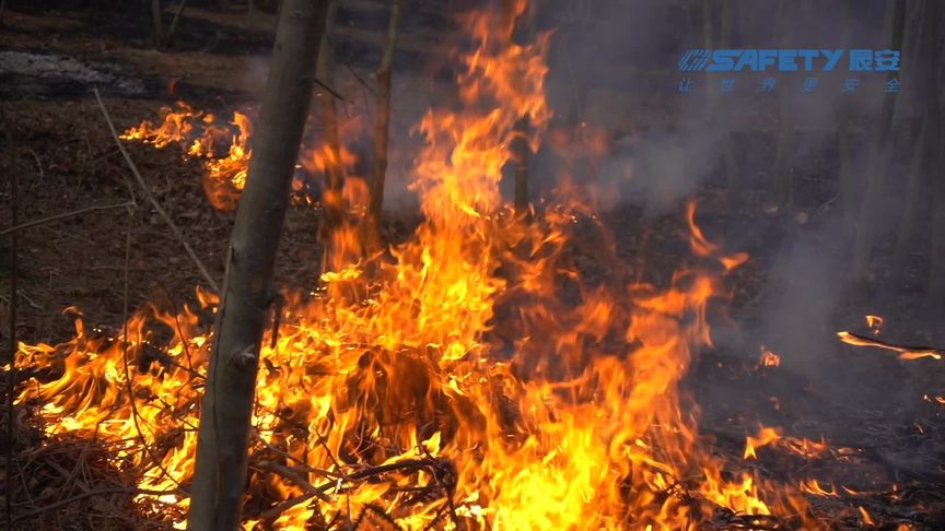 守护最美逆行者——辰安林火专题模型用科技守护森林消防员 #科技
