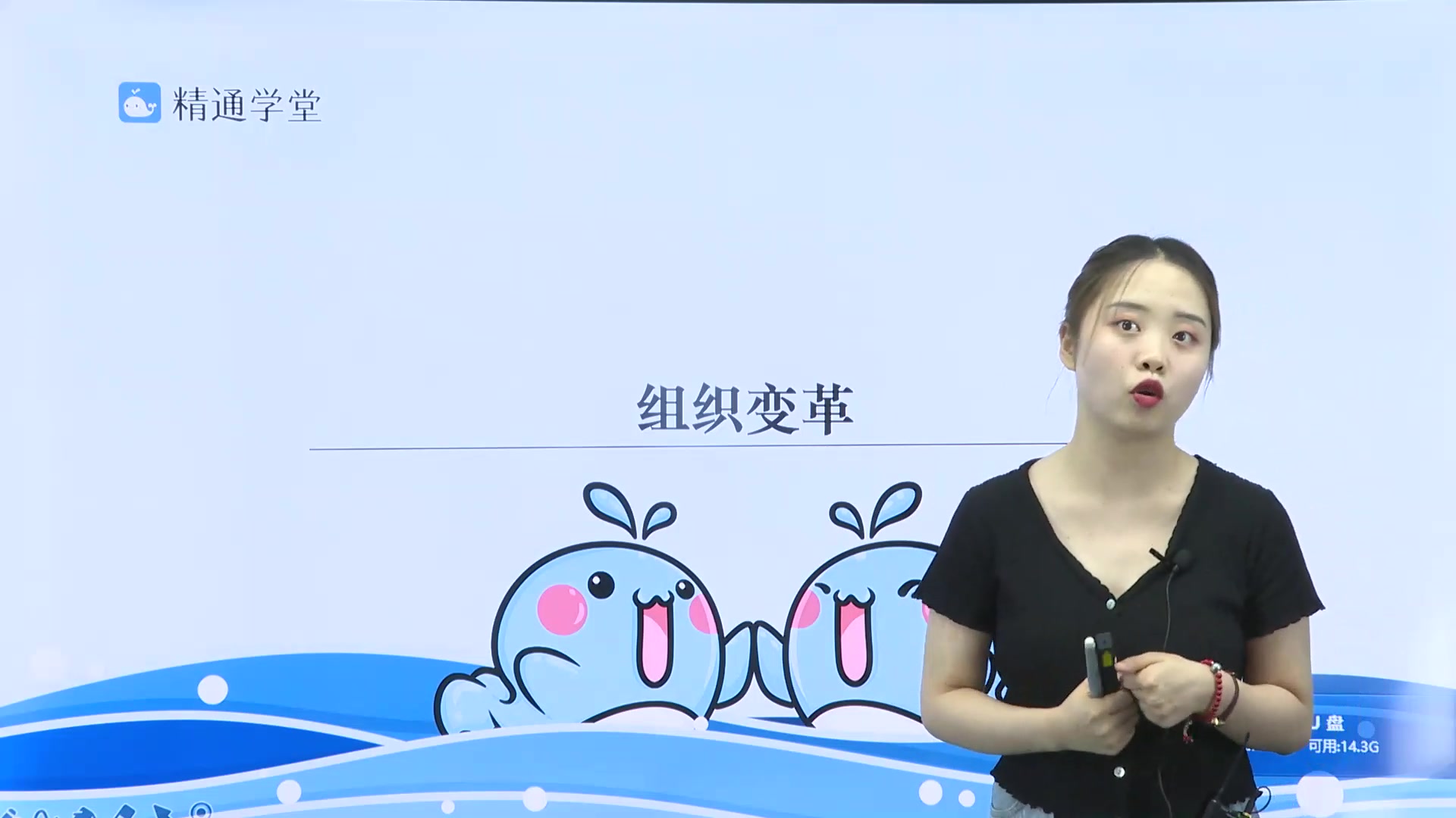 河南专升本管理学0基础,进来听听,教你入门