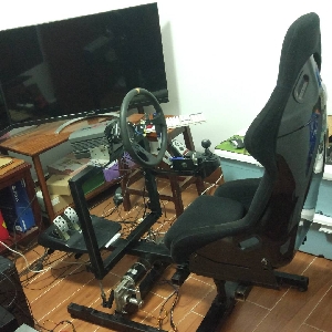 最强G力模拟车手 