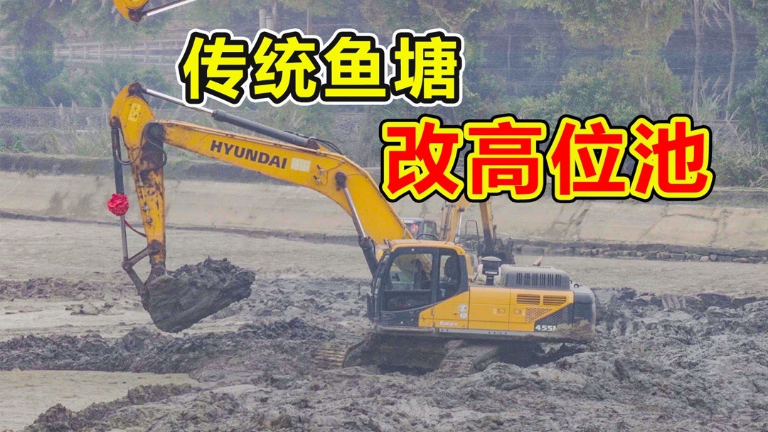 传统鱼塘改建高位池,村民收入翻一翻,距离乡村振兴之路越来越好