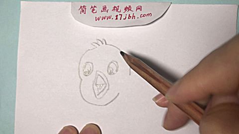 快乐的小鸟简笔画视频