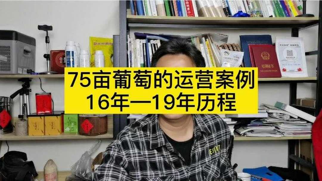 讲一个真实案例!75亩葡萄农庄的如何通过3年运营收获利润和客户