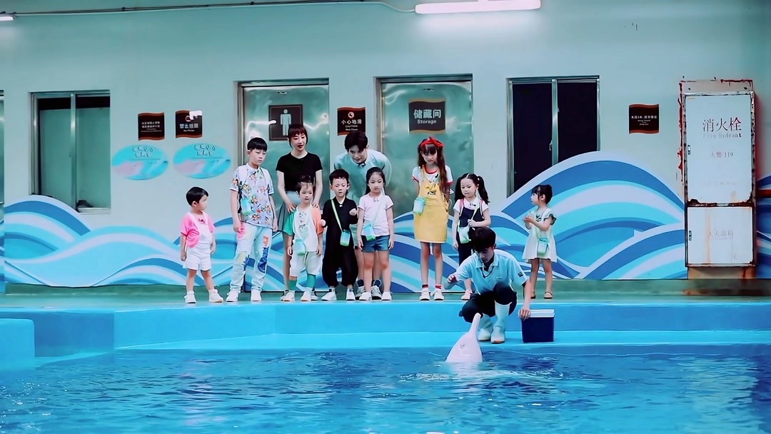 星空下的童话 海豚认证失败 辅导员和学员出发下一个目的地