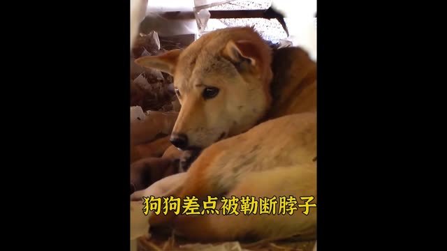 于是工作人员准备实施A计划