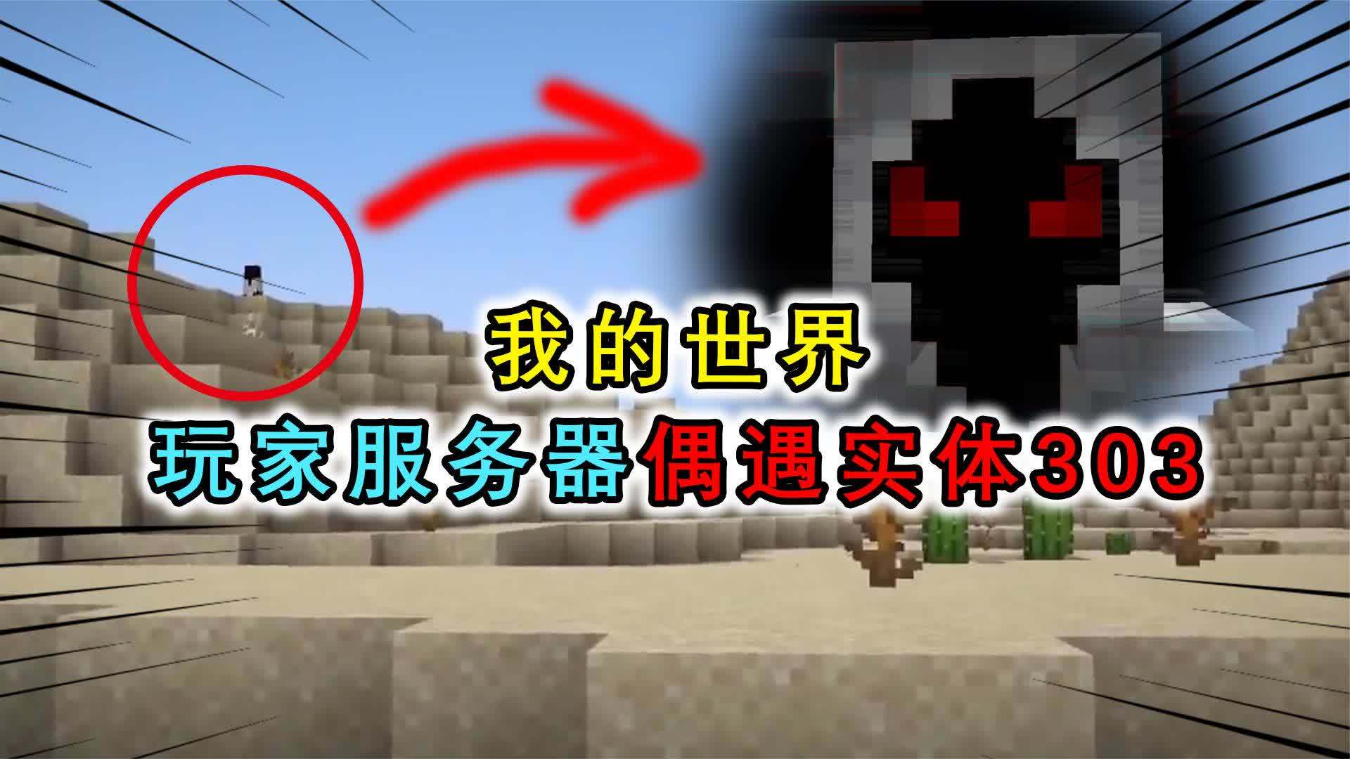 我的世界:玩家服务器遇到实体303,与好友失联,最后却无事发生
