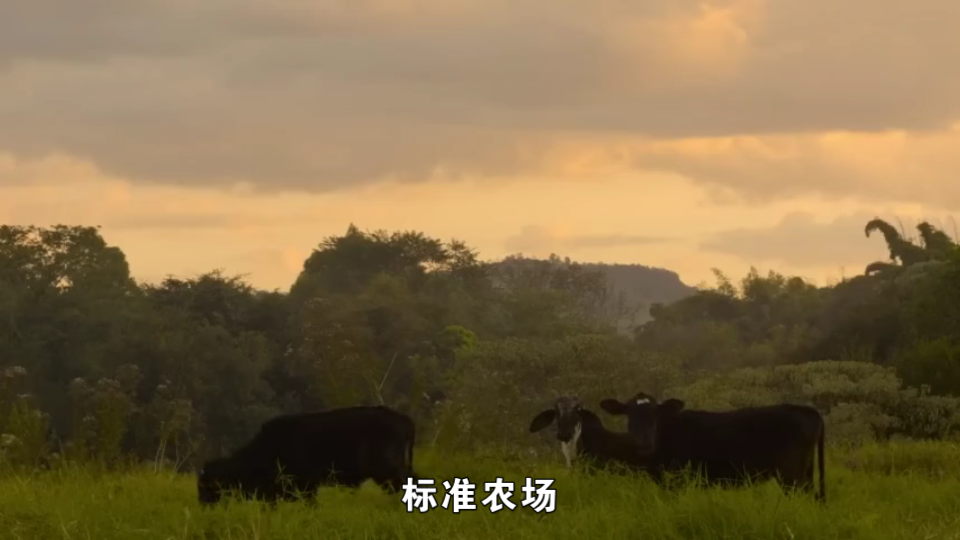 朴门永续-传统农场与永续农场区别
