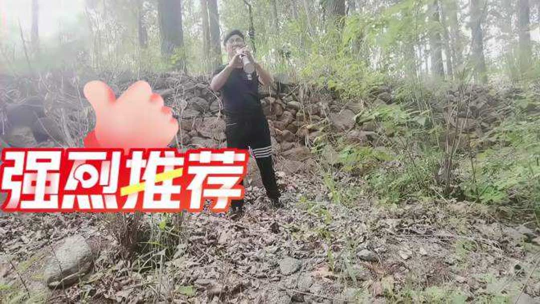 盛世八音电吹管二胡音色演奏渴望太好听了