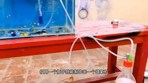 不用电不用油,只用一个瓶子就能实现增氧自由,真是太棒了!