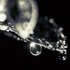 脑洞不够剧来凑 