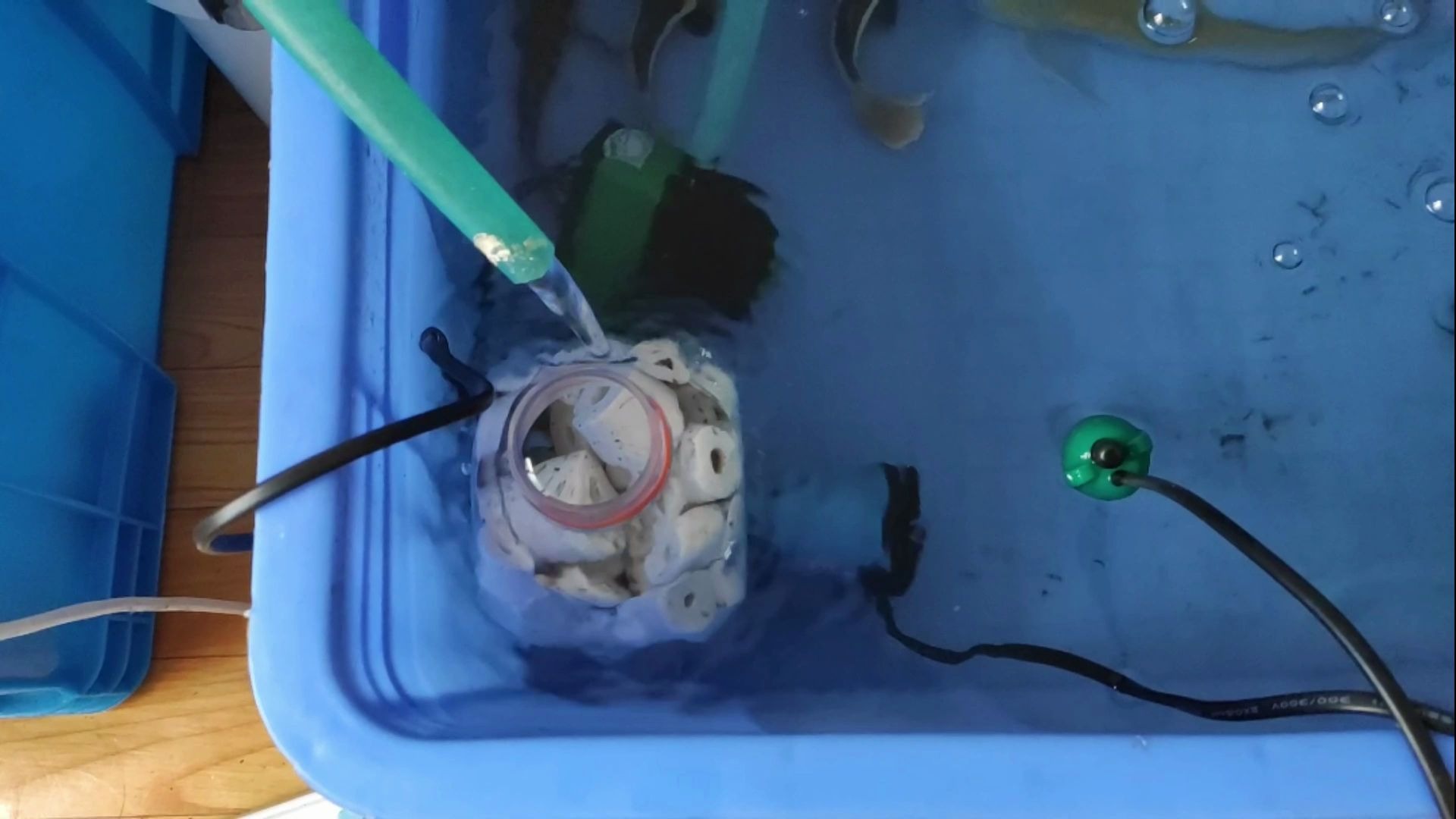 使用一周的DIY过滤器水质依然很好
