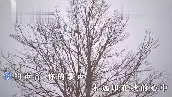 经典老歌《乡恋》演唱:李谷一