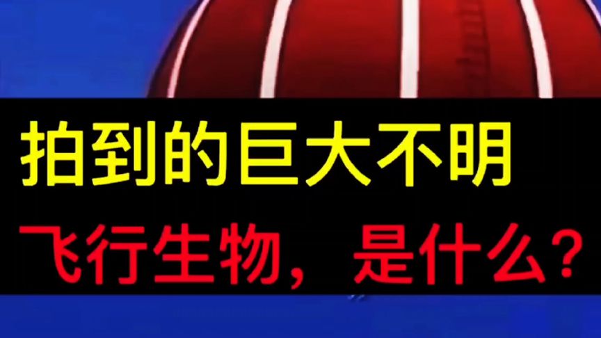 拍到的巨大不明飞行生物,你们觉得这是什么呢?