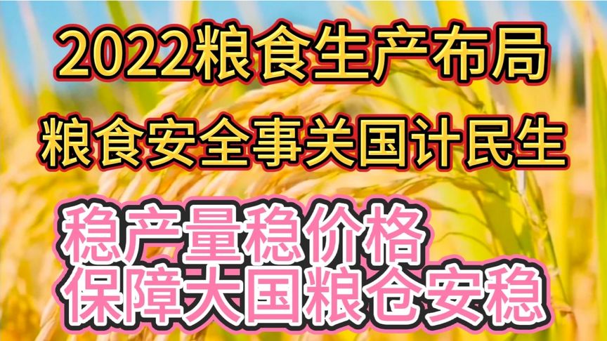 2022我国粮食生产布局#粮食安全全球博弈的战略武器#热点话题关注