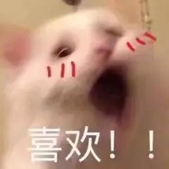 寥寥今天一定欧 