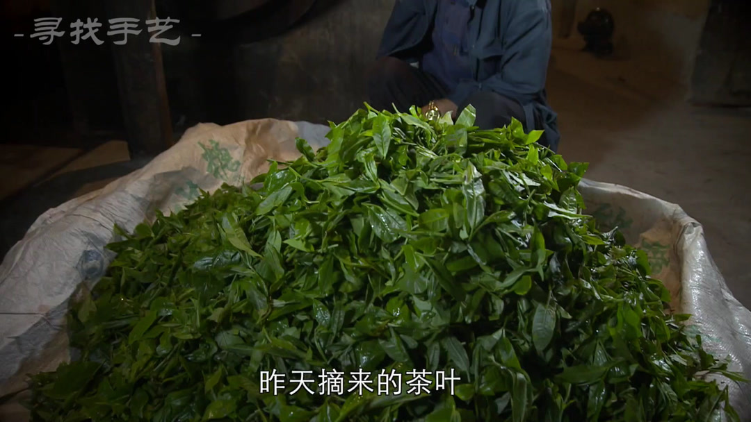 普洱茶制作全过程