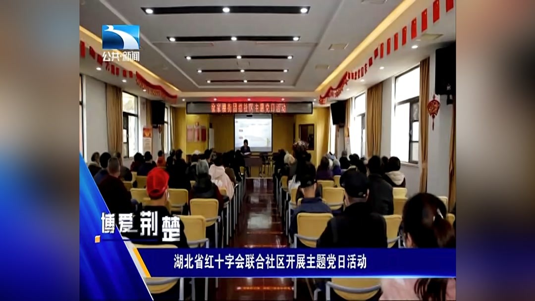   湖北省红十字会联合社区开展主题党日活动