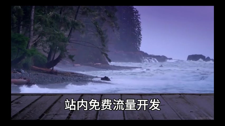 淘宝uv是什么意思,淘宝uv,淘宝SEO