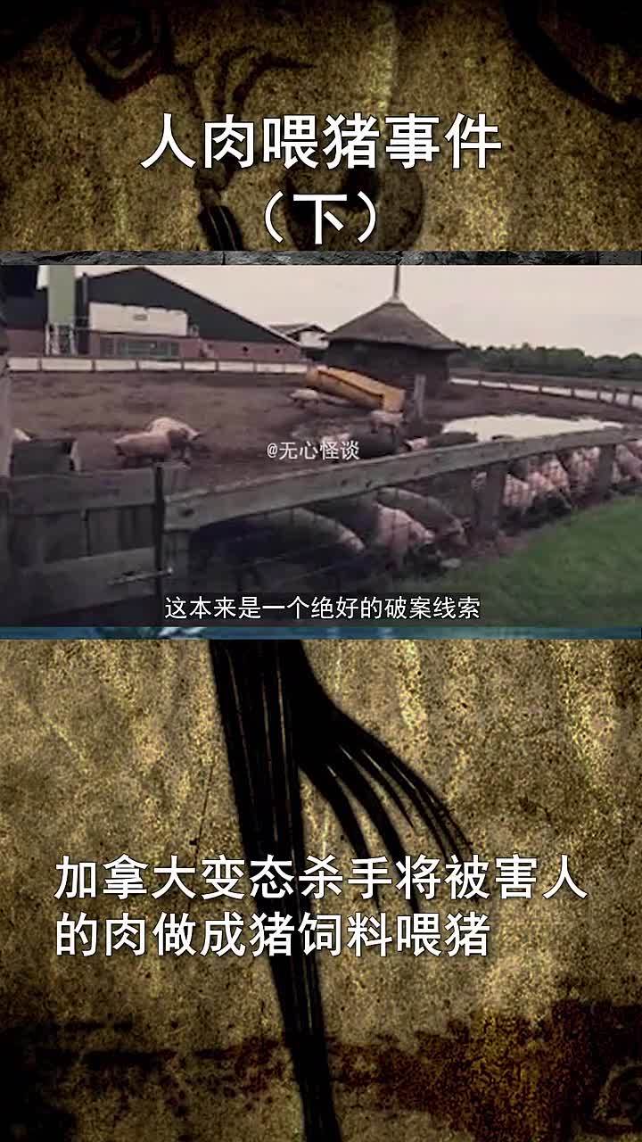 人肉喂猪事件,人肉猪饲料(下)╭(′▽`)
