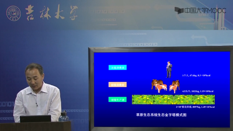 人文视野中的生态学_生态系统_能量流动的生态效率._科普视频
