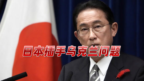 啥都想插一脚?日本挺美乌撂狠话,俄方陷入"困惑":令人费解