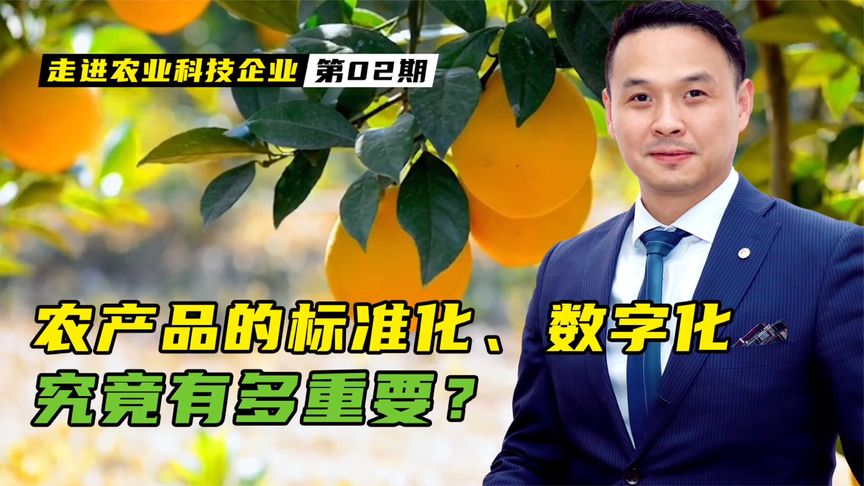 今天的中国,农产品的标准化、数字化究竟有多重要?