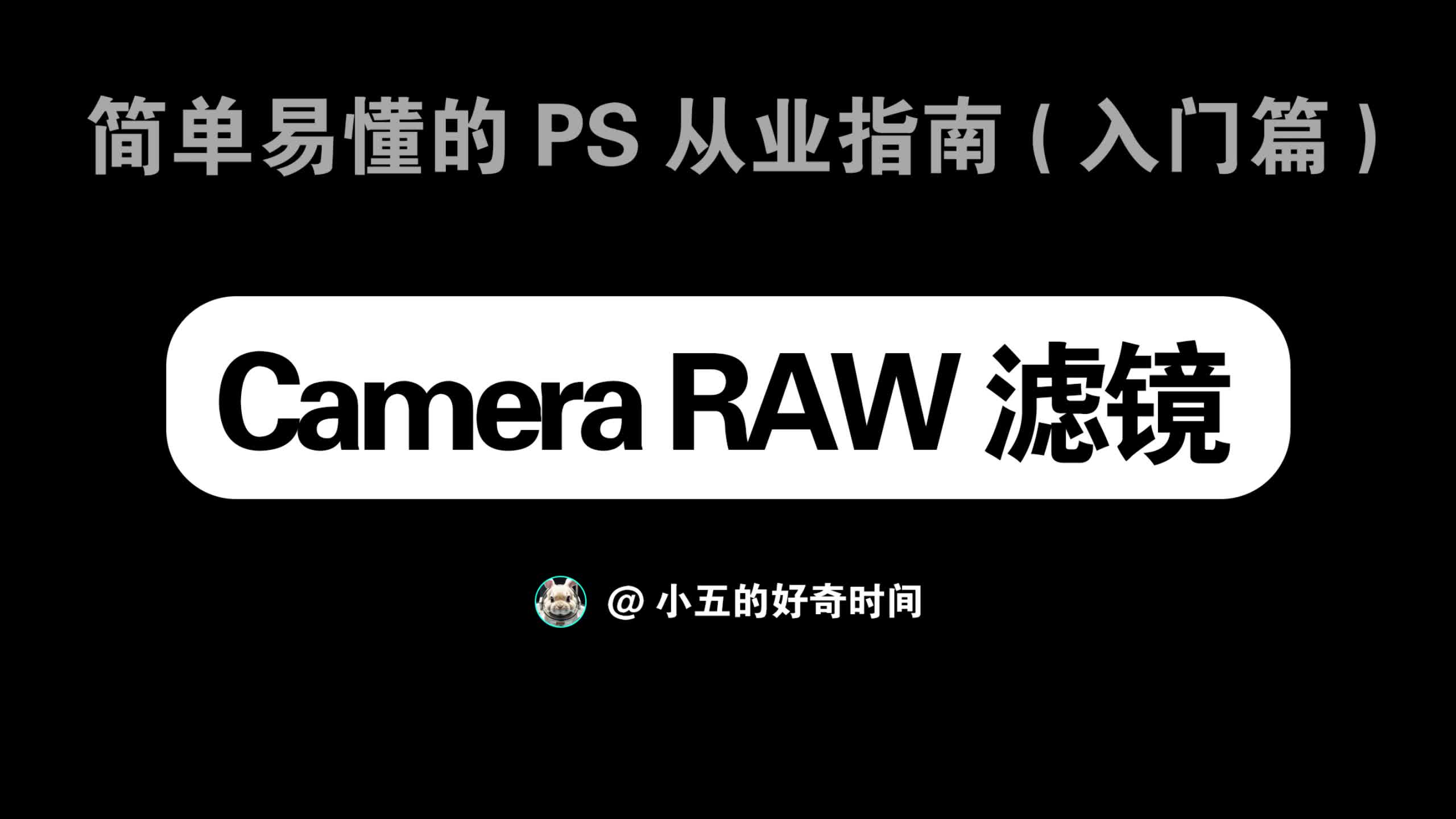 简单易懂的ps从业指南/4camera raw 滤镜