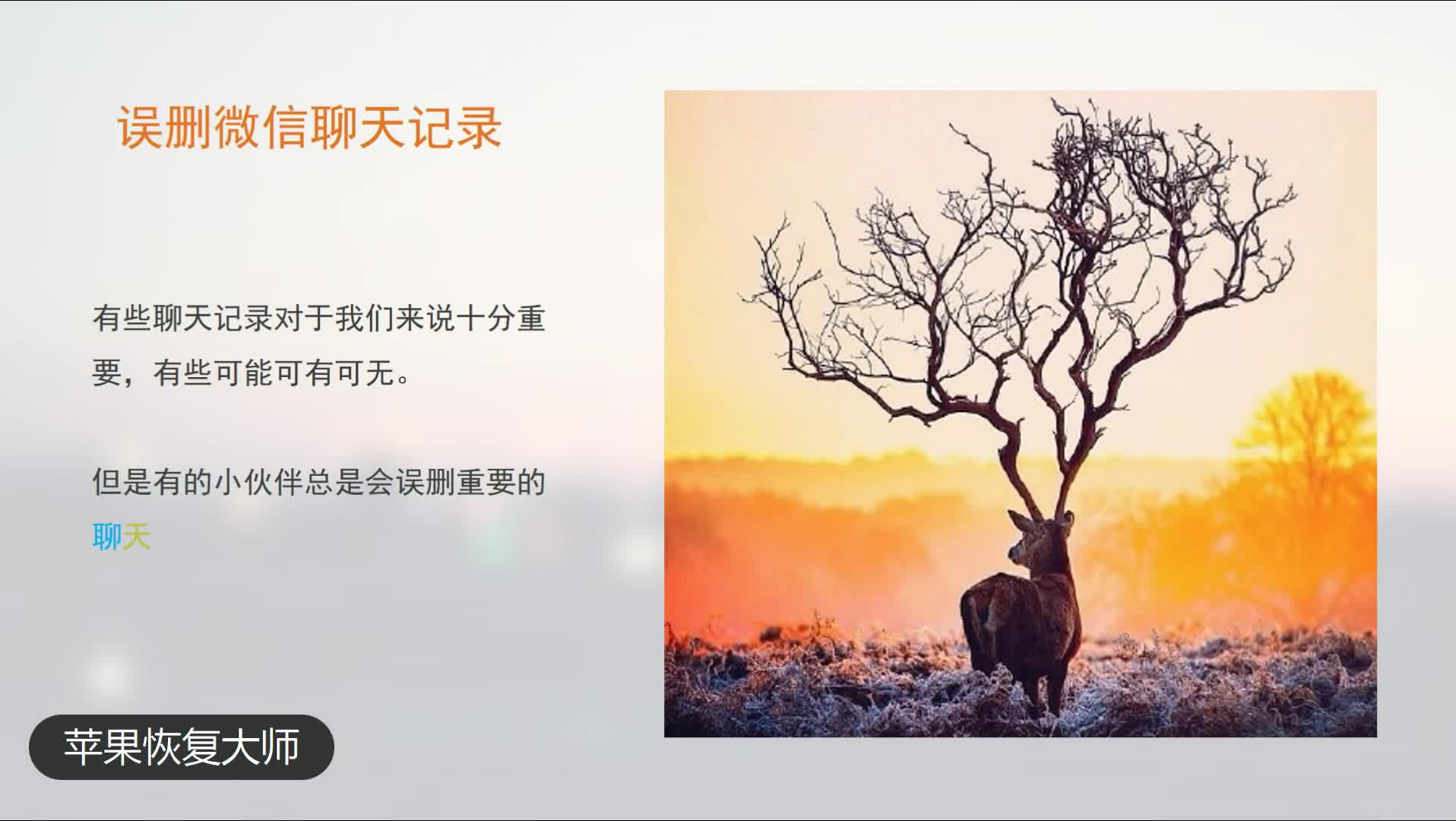 苹果手机如何恢复微信聊天记录?苹果手机恢复大师