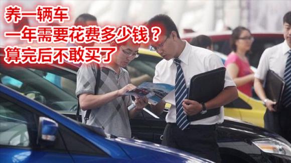 养一辆车,一年需要花费多少钱?算完后不敢买了