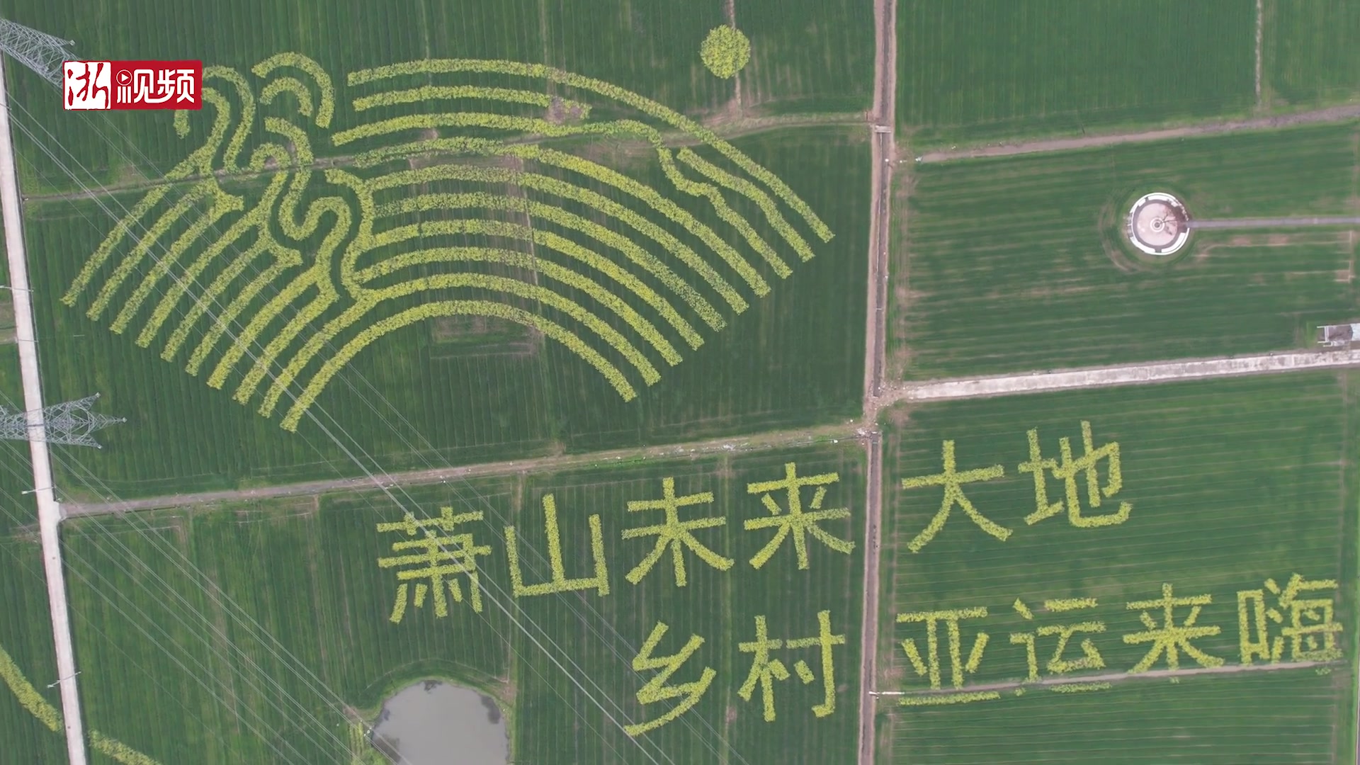 萧山油菜花与麦苗拼出杭州亚运会会徽