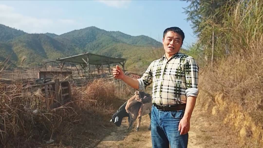 朋友打算扩大养殖规模,年赚100万不是问题,坐凉亭喝着茶就行