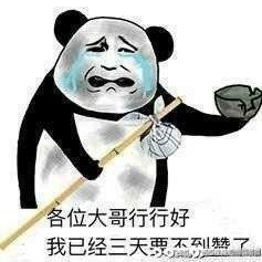 一只平凡的新人up猪 