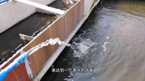 自动化水循环系统第二集,排污方式和补水,水体平衡全靠它