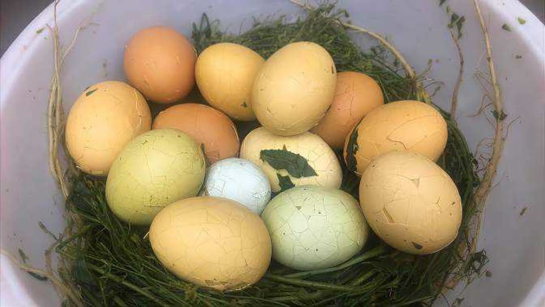 三月三地菜煮鸡蛋,拔一些荠菜和鸡蛋一起煮仙丹,愿你安我无恙!