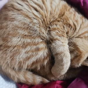 一个刻骨铭心的网名 