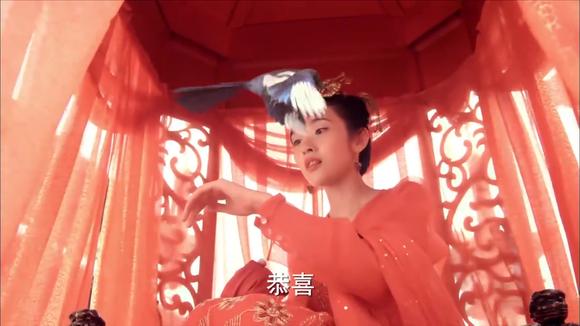 男子打破狐妖界的记录,求婚75次,失败率百分百,却越挫越勇!