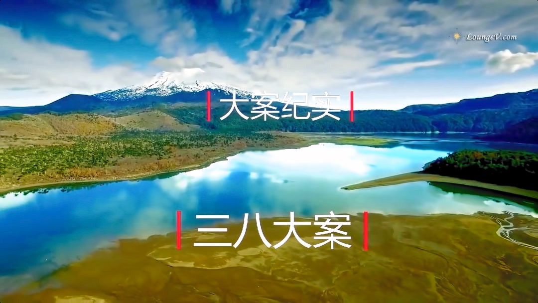 大案纪实:三八大案