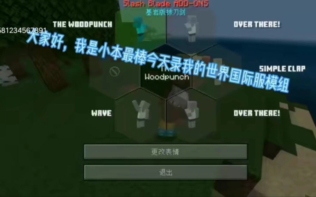 旧视频11 我的世界国际服模组