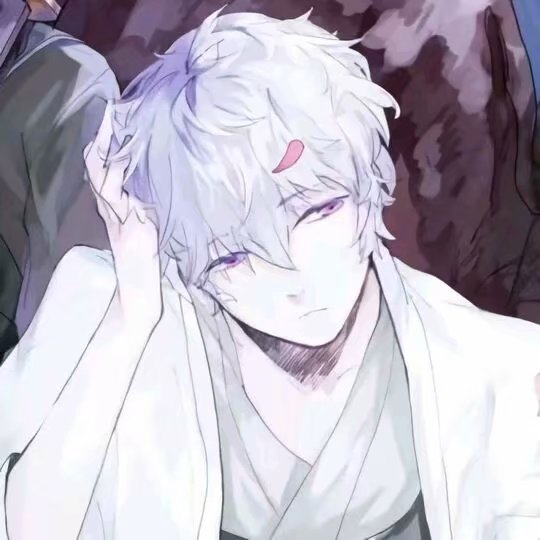 身残志坚憨憨菜 