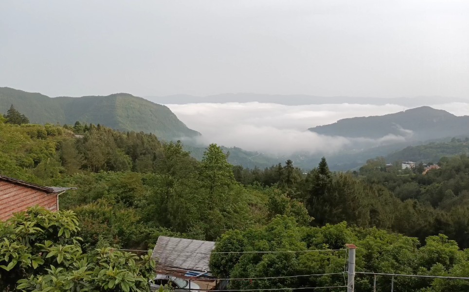 小伙介绍家乡,这里不仅风景优美,还种了很多水果